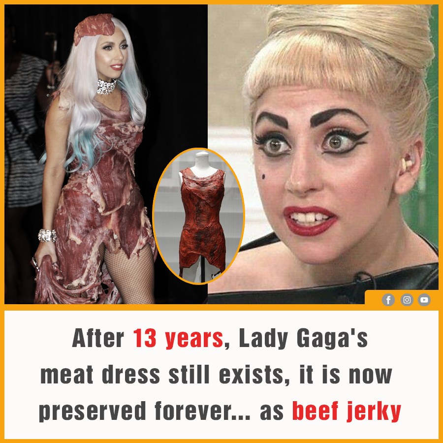 After 13 Years Lady Gagas Meat Dress Still Exists It Is Now Preserved Forever As Beef Jerky