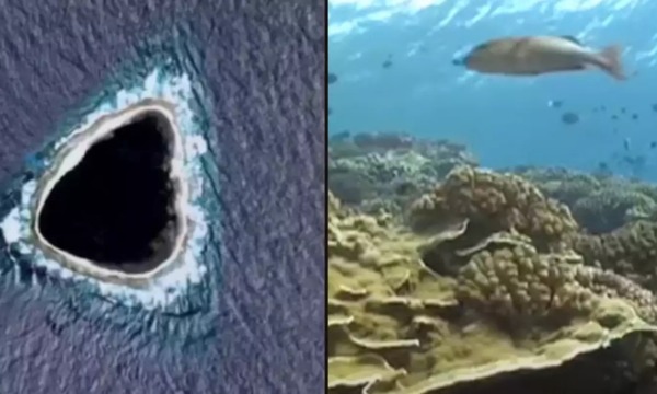 Diver shows reality of mysterious 'hole' completely blacked out of ...